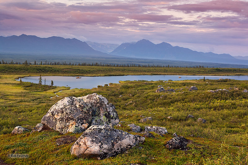 Monahan Flat | Alaska | Robert Faucher Photography