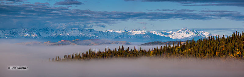 Tetlin National Wildlife Refuge | Alaska | Robert Faucher Photography
