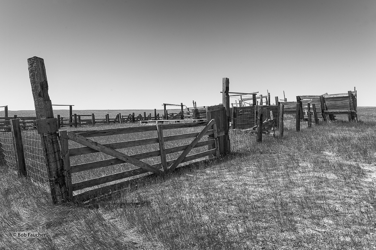 Sorting Corrals | Montana | Robert Faucher Photography