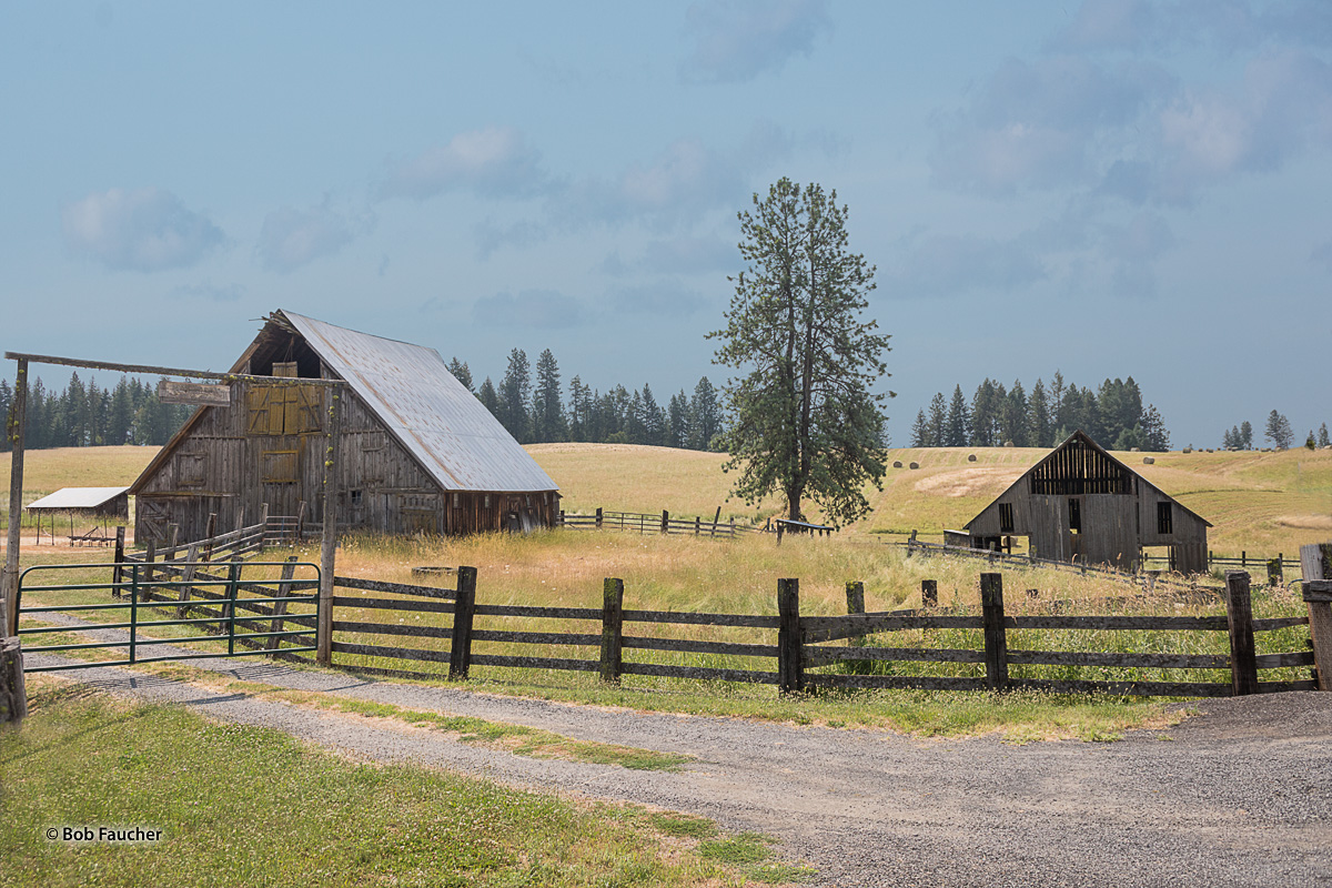Two of a Kind | Idaho | Robert Faucher Photography