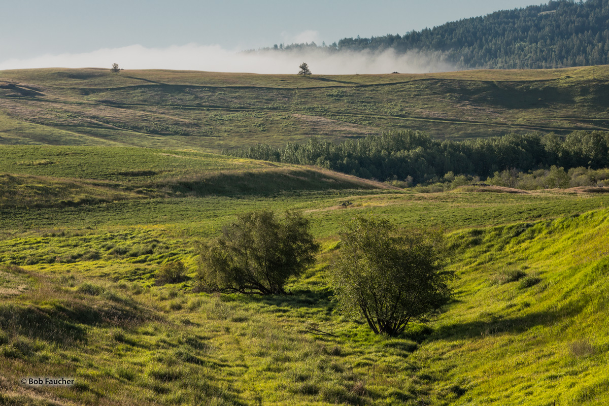 New Work | Robert Faucher Photography