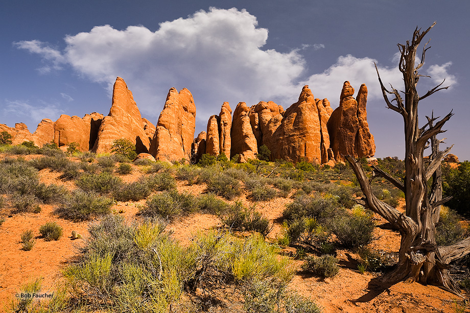Sandstone Fins | Moab | Robert Faucher Photography