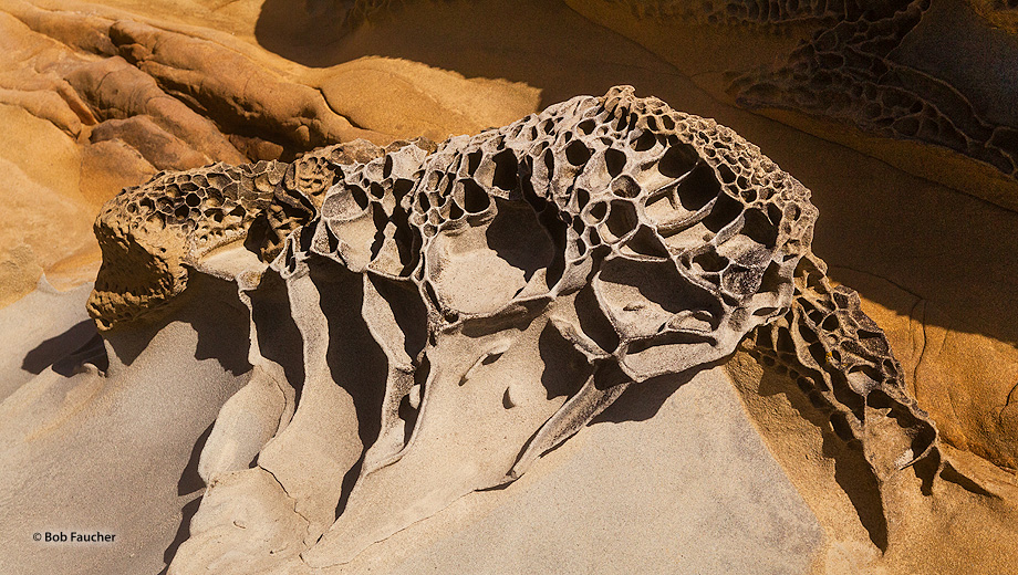 Tafoni | Salt Point SP | Robert Faucher Photography